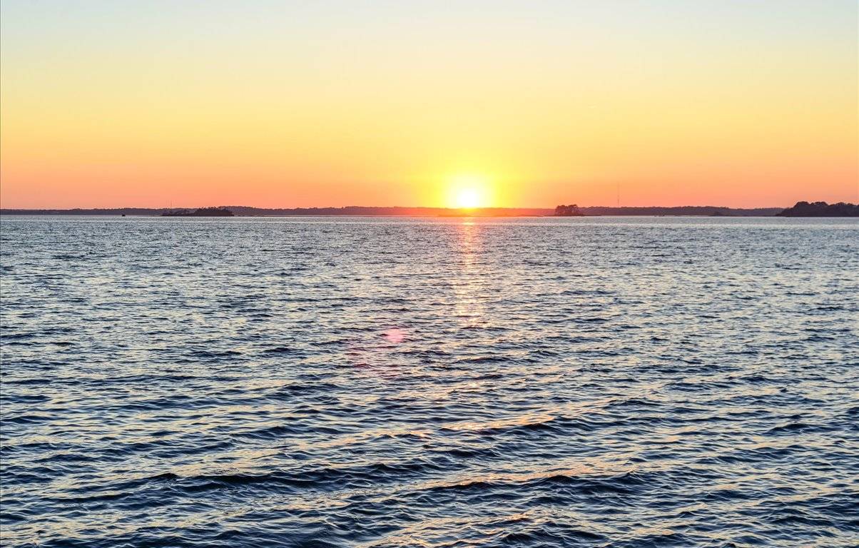 Clamshell House | Benchmark Property Services