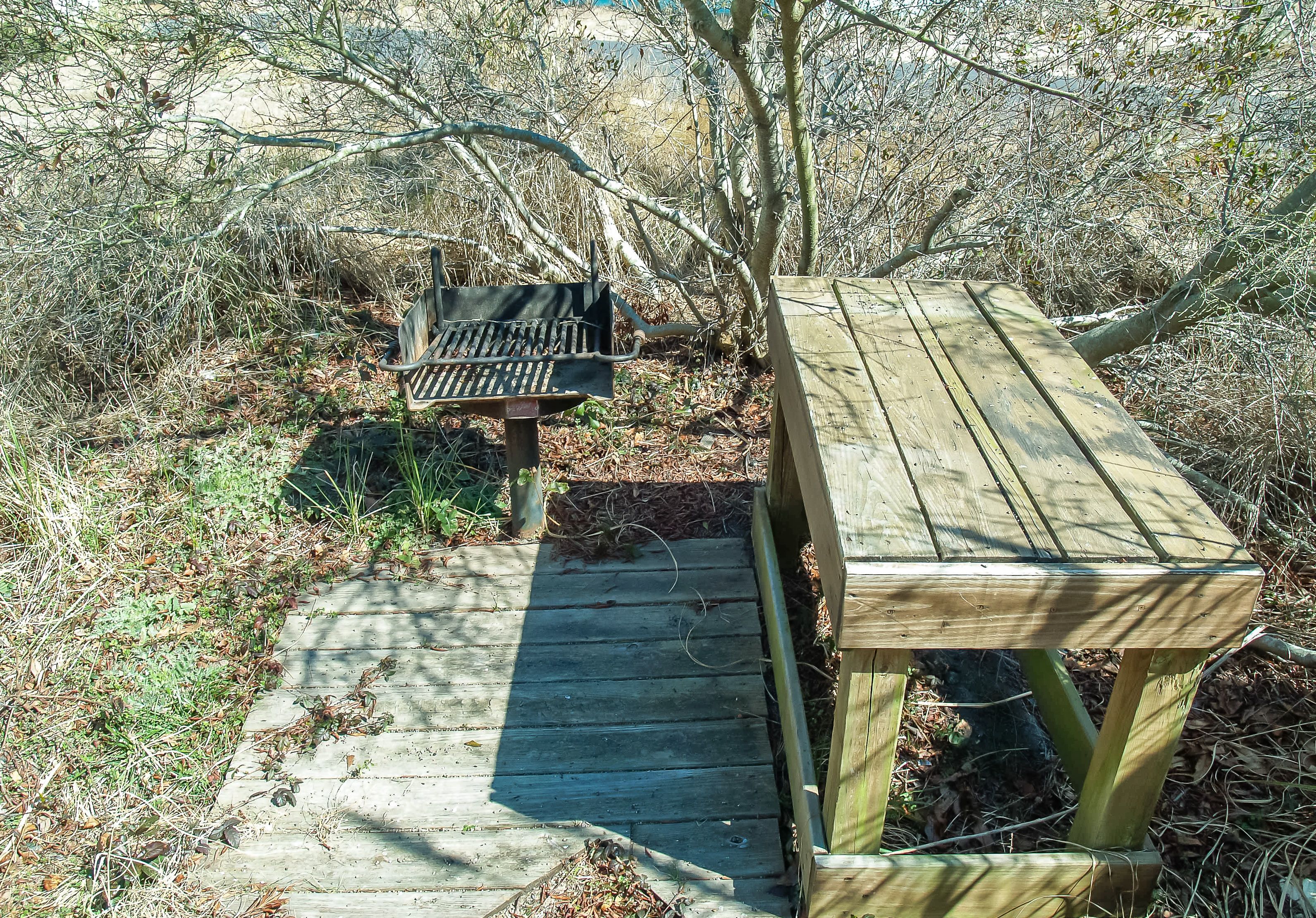 Book Blue Moon - C5084 | Oceanside OBX Vacation Rental