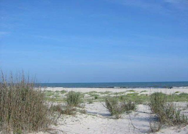 All Conched Out | Coastal Joe Vacation Rentals