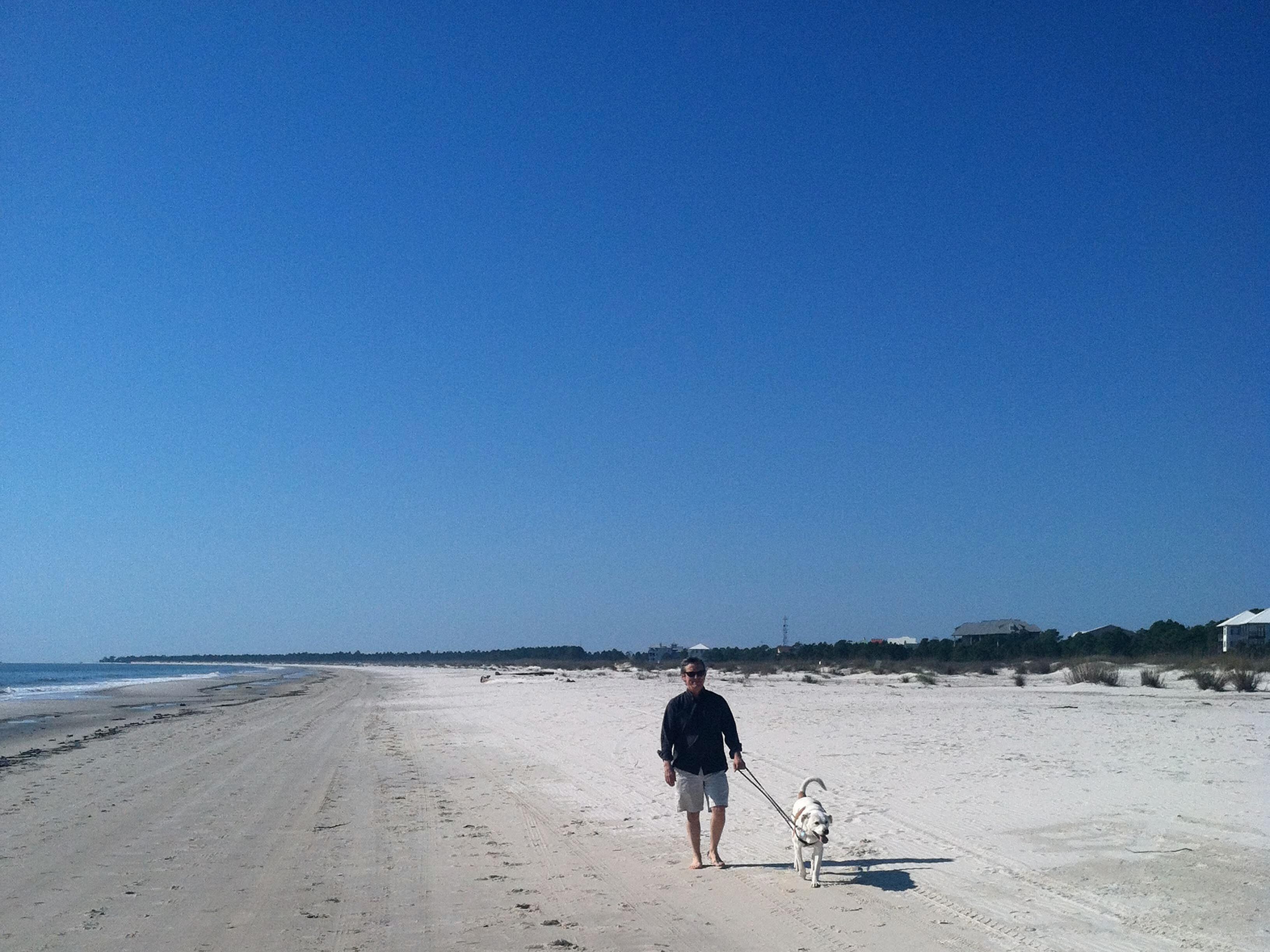 All Conched Out | Coastal Joe Vacation Rentals