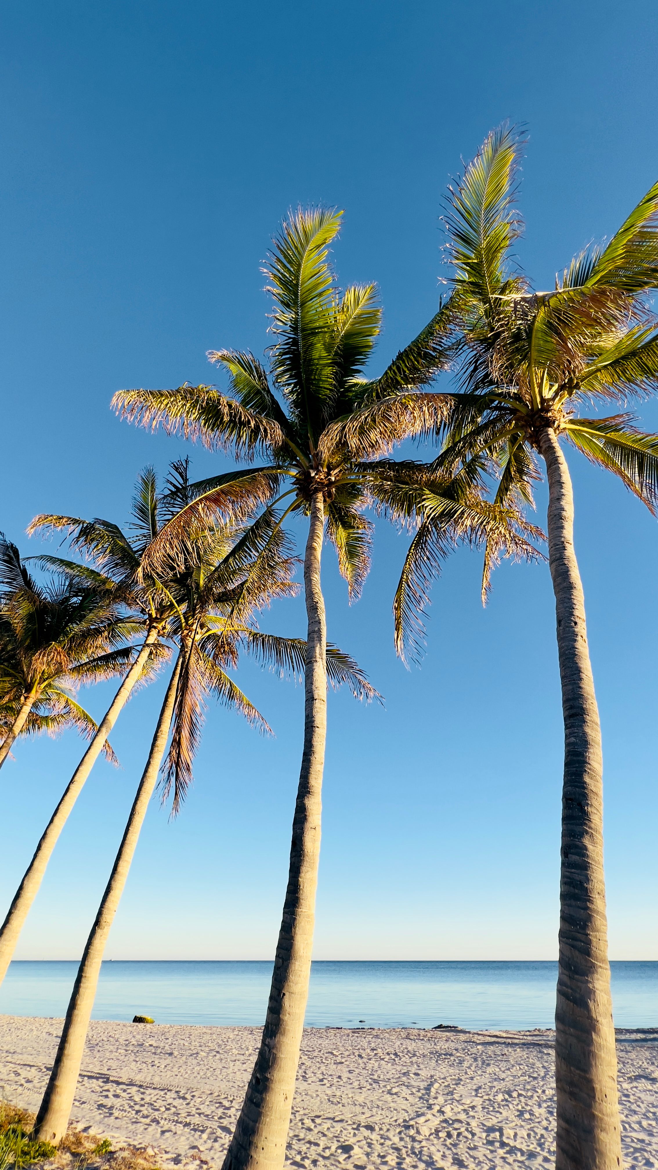 THE MALLORY SUITE @ Inn on Fleming Key West! | Dwell Key West