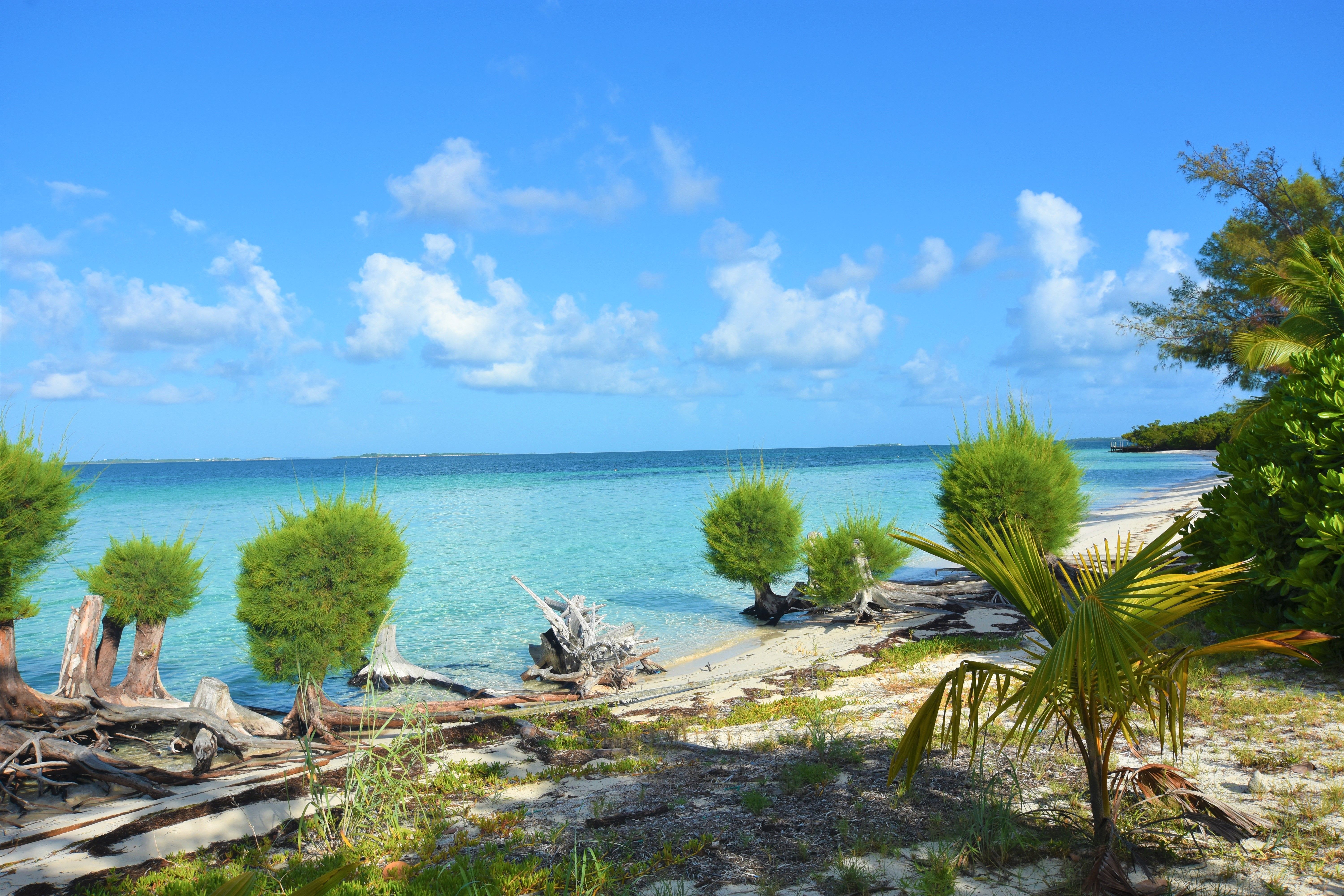 Elbow Cay Rentals | Elbow Cay Properties