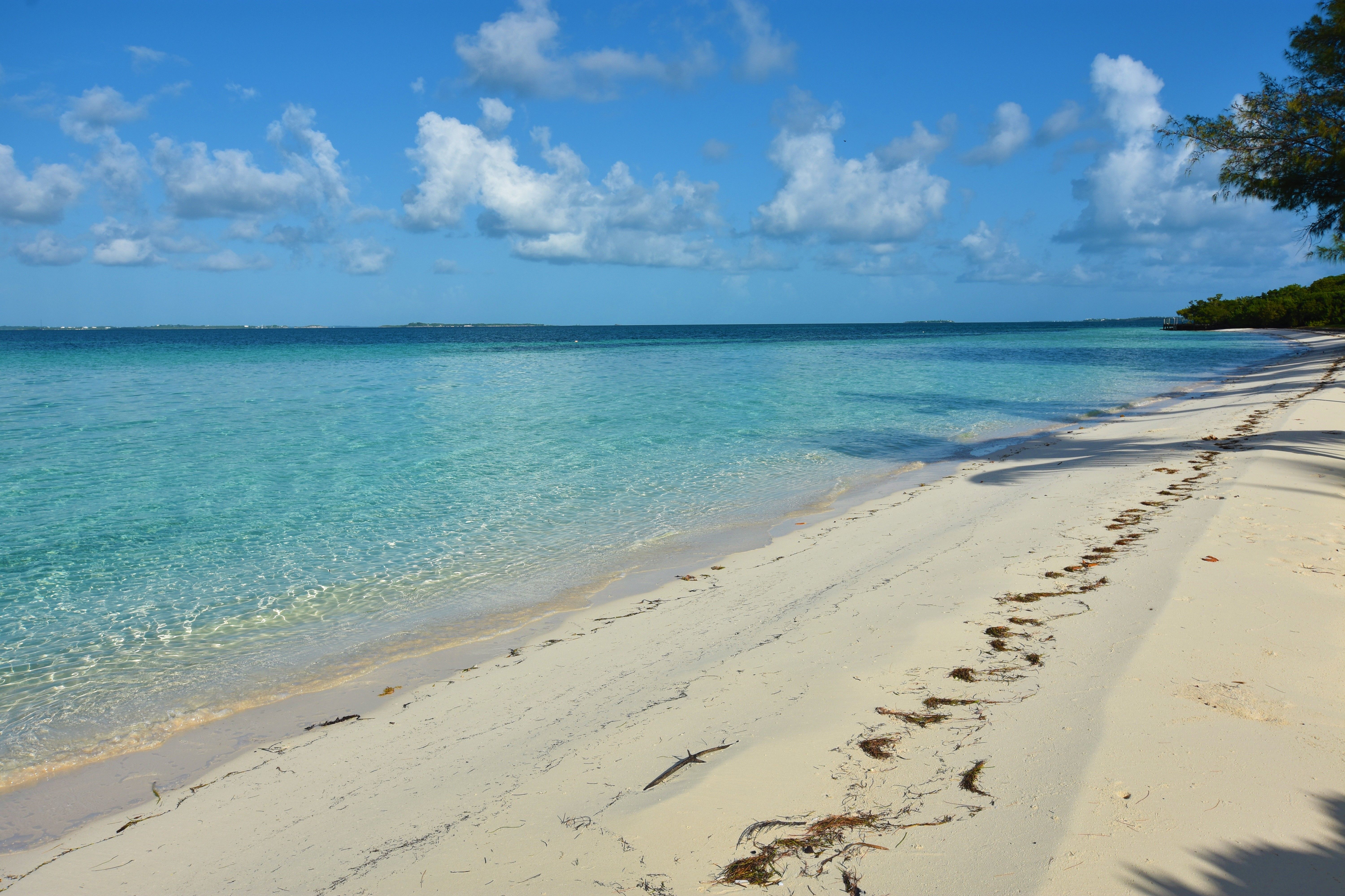 Elbow Cay Rentals | Elbow Cay Properties