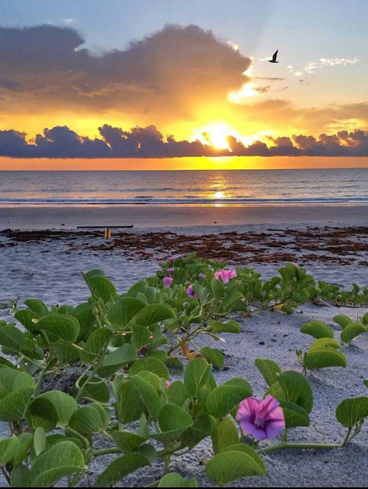 Endless Summer | East Coast Living