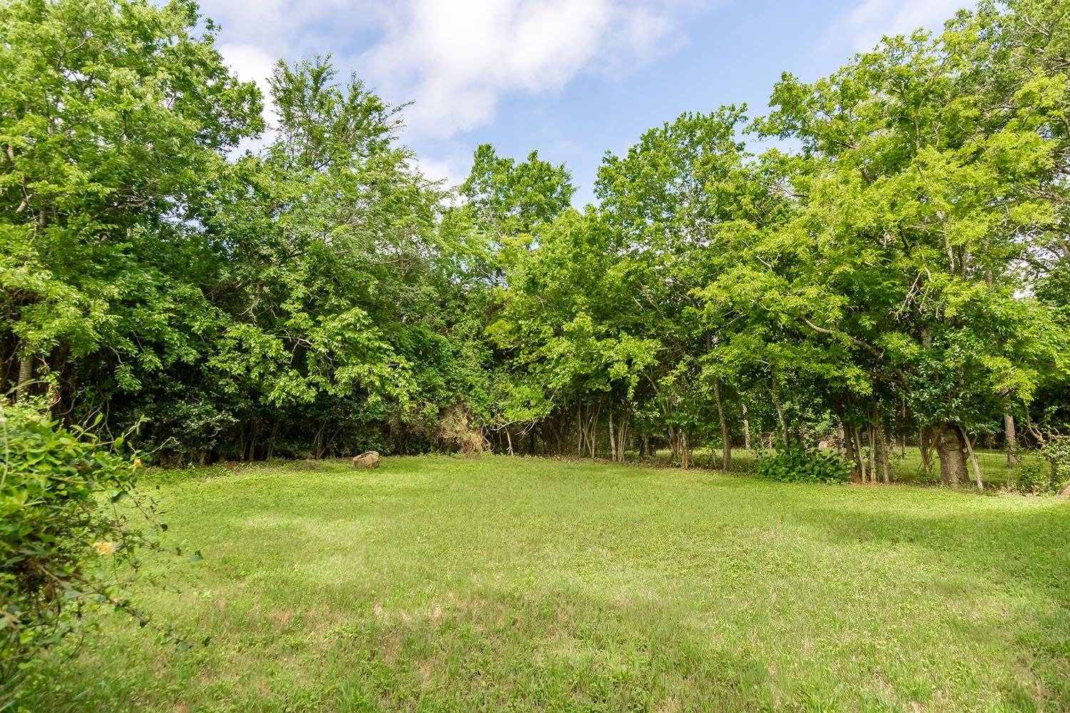 Mistletoe House | Fredericksburg Stays