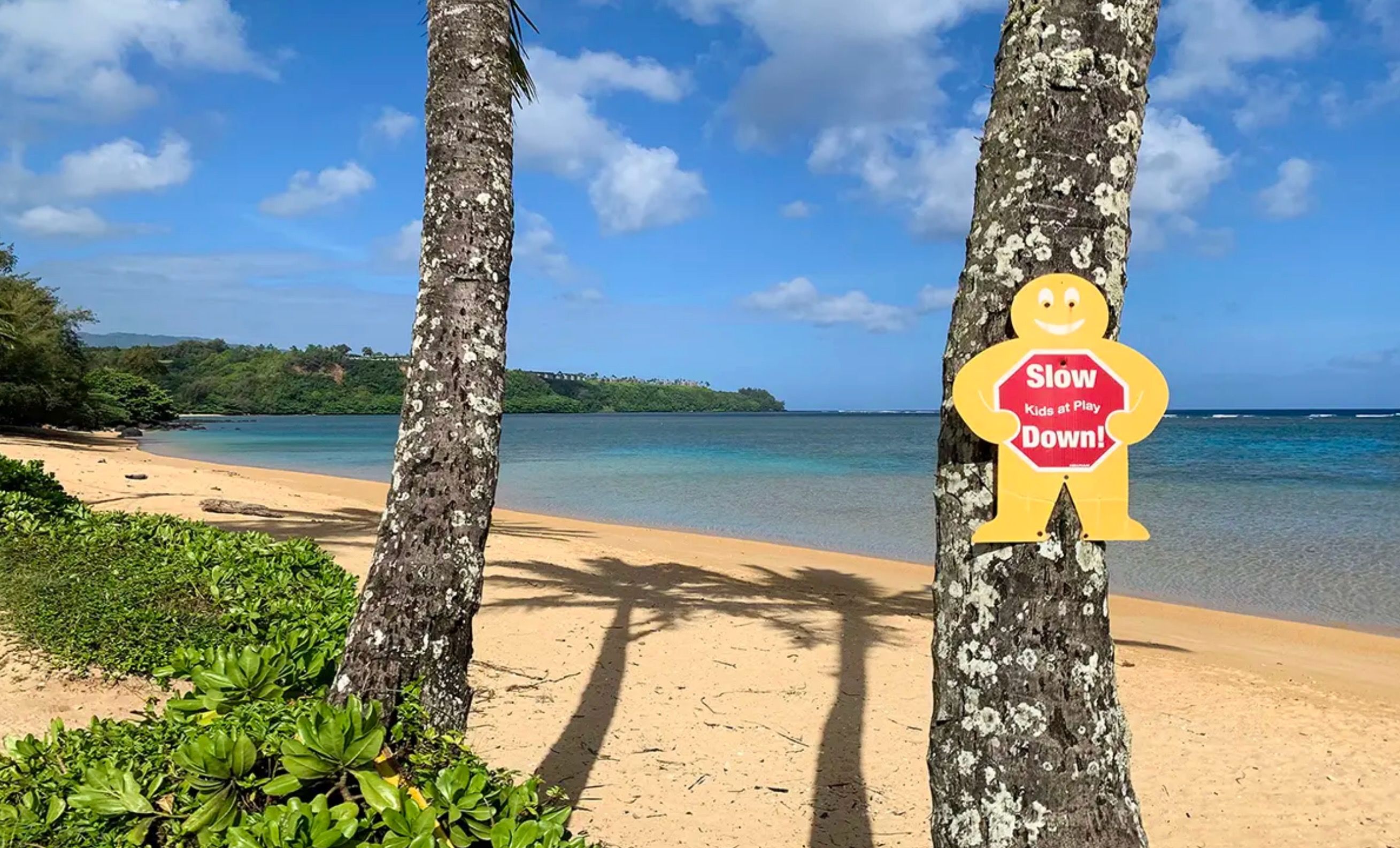 Anini 4 and Anini 3 Oceanfront | House Of Dreams Kauai