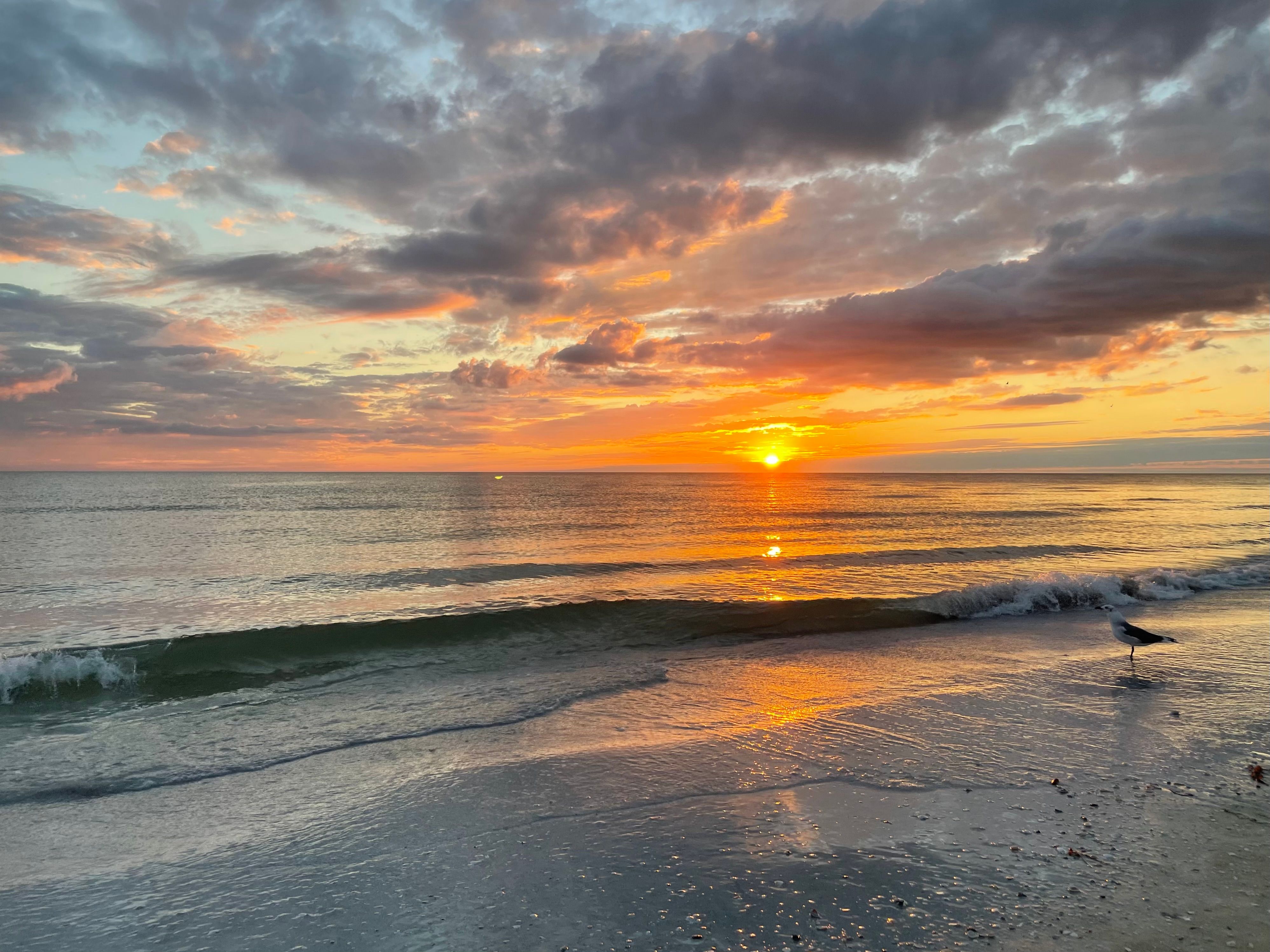 Island House Beach Resort 11S | Island House Beach Resort