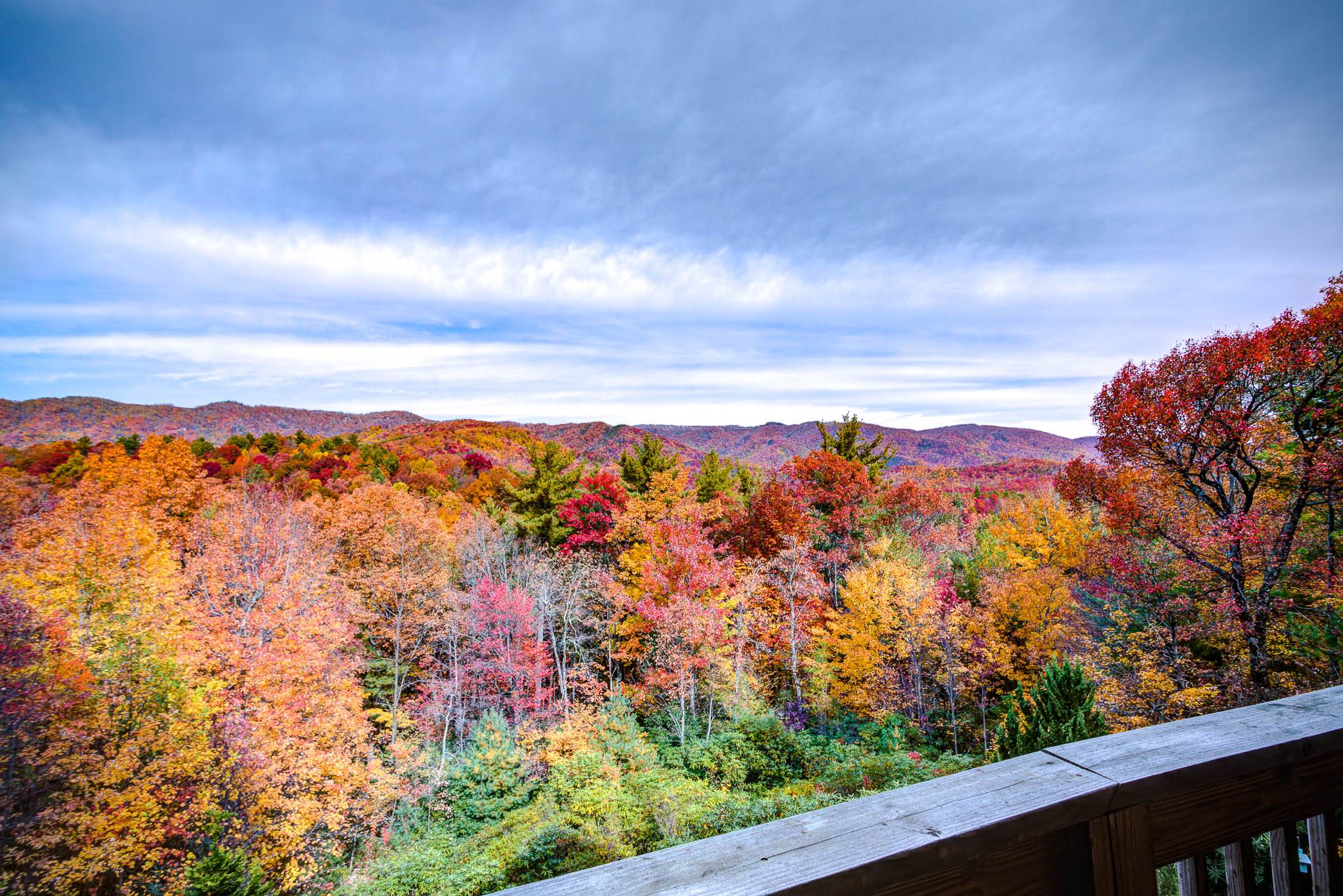 Ollie's Overlook | Jenkins Rentals