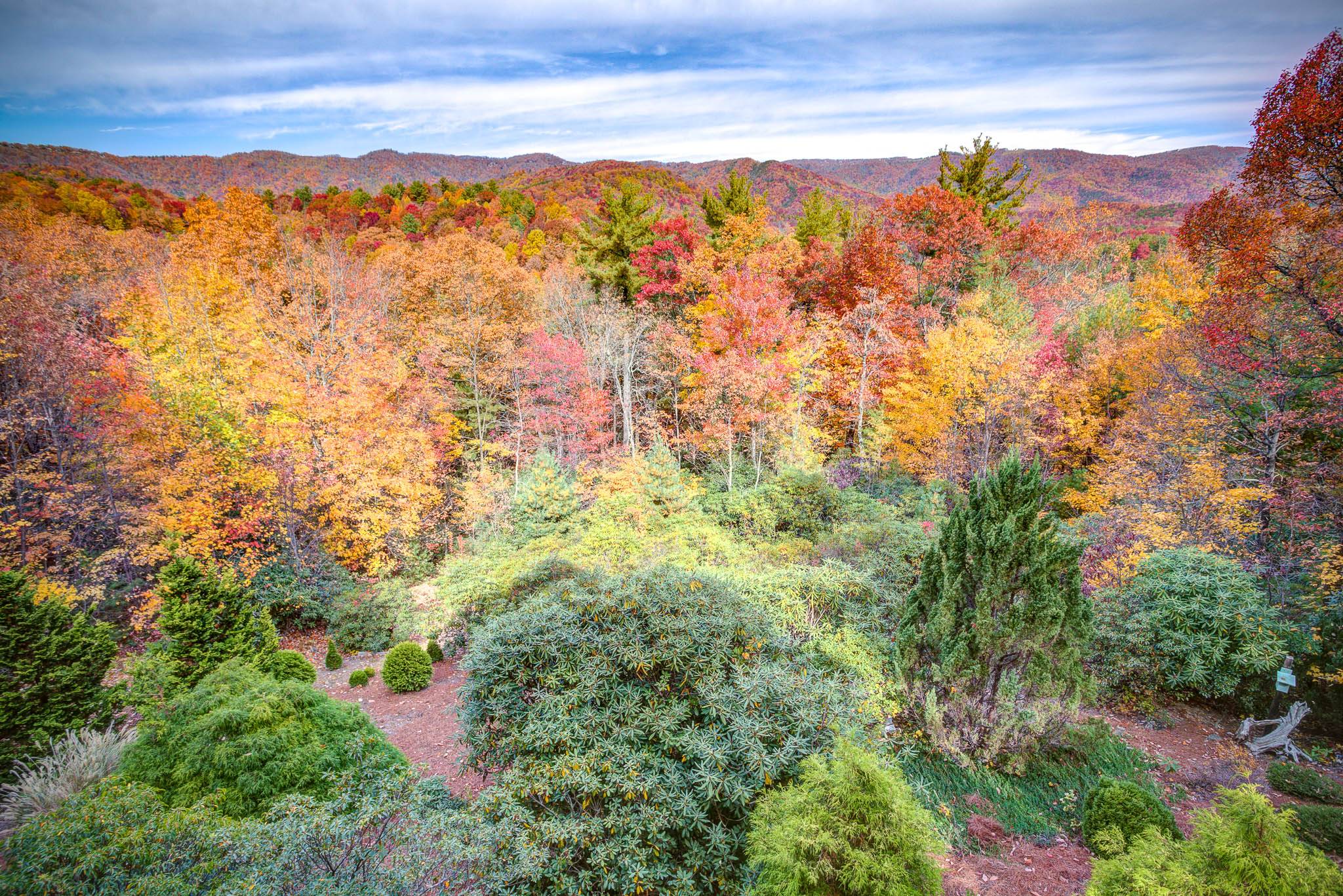 Ollie's Overlook | Jenkins Rentals