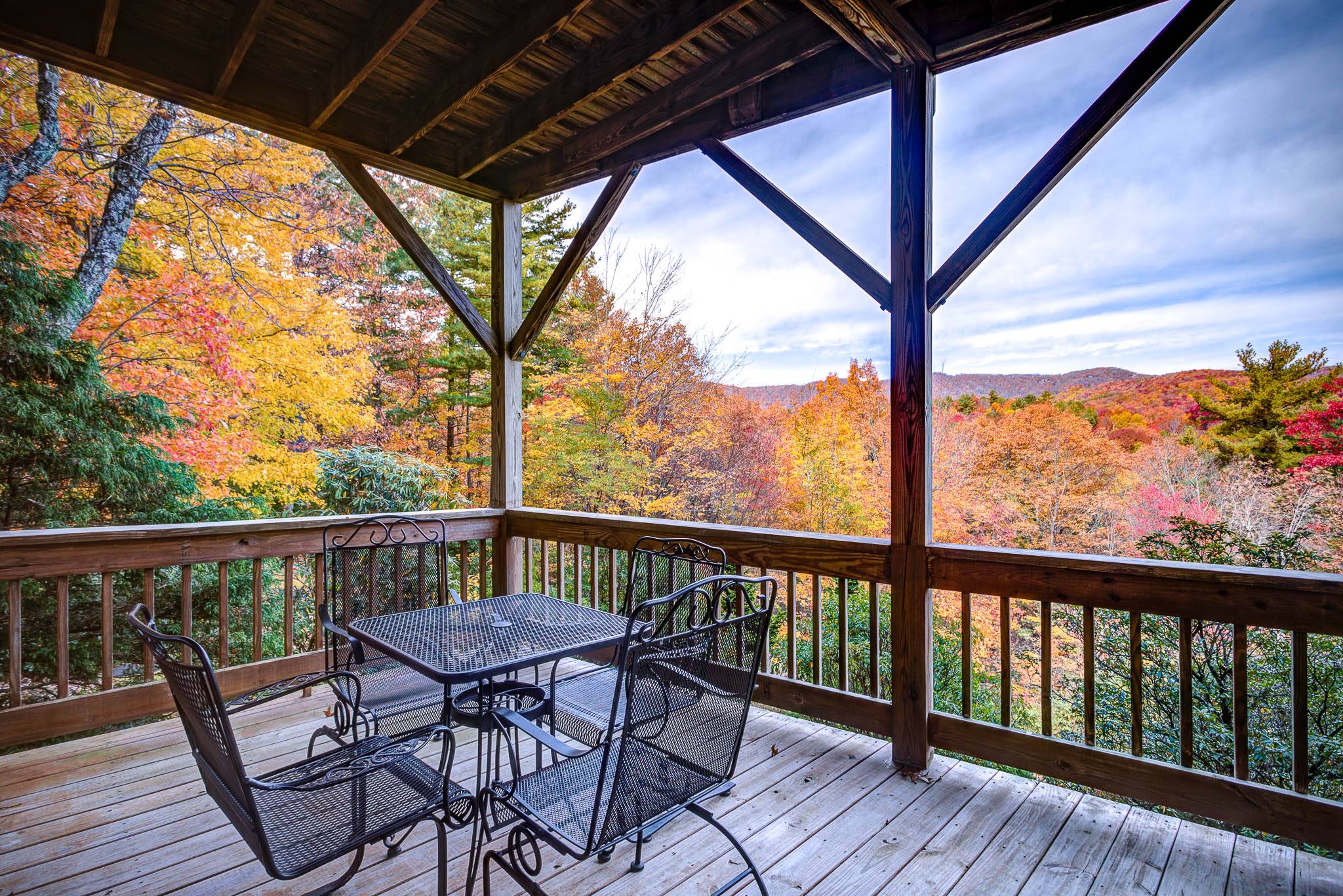 Ollie's Overlook | Jenkins Rentals