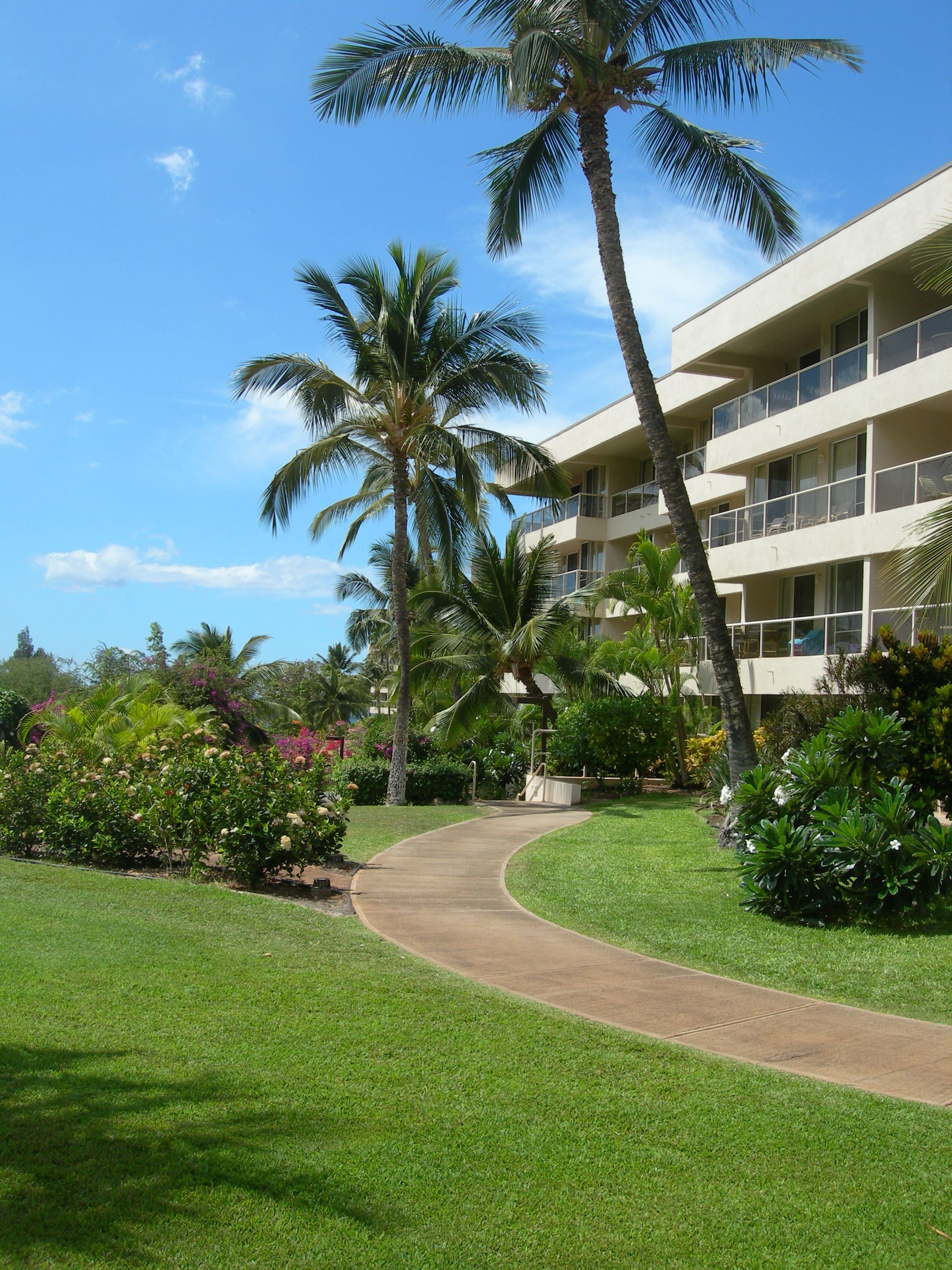 Maui Banyan Q104 | Maui Banyan Condo Rentals