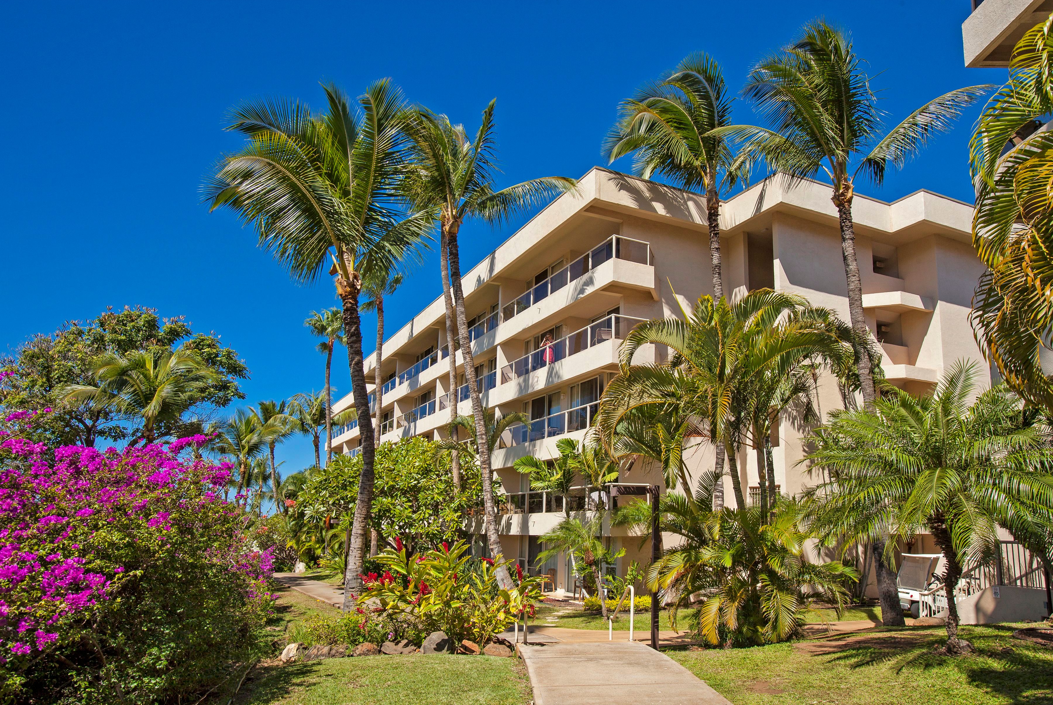 Maui Banyan T304 | Maui Condo and Home, LLC Vacation Rental