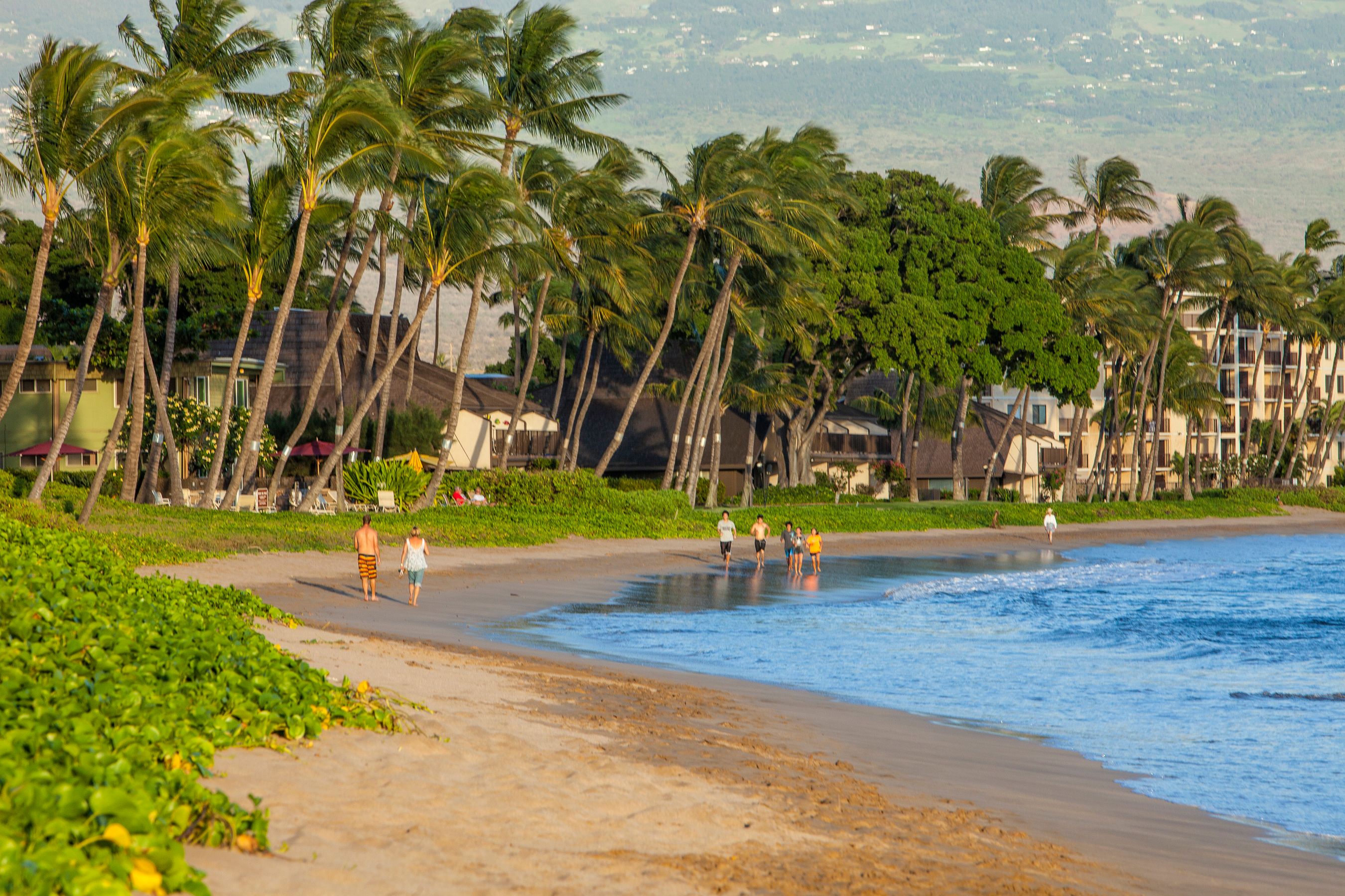 Sugar Beach 223 | Sugar Beach Resort