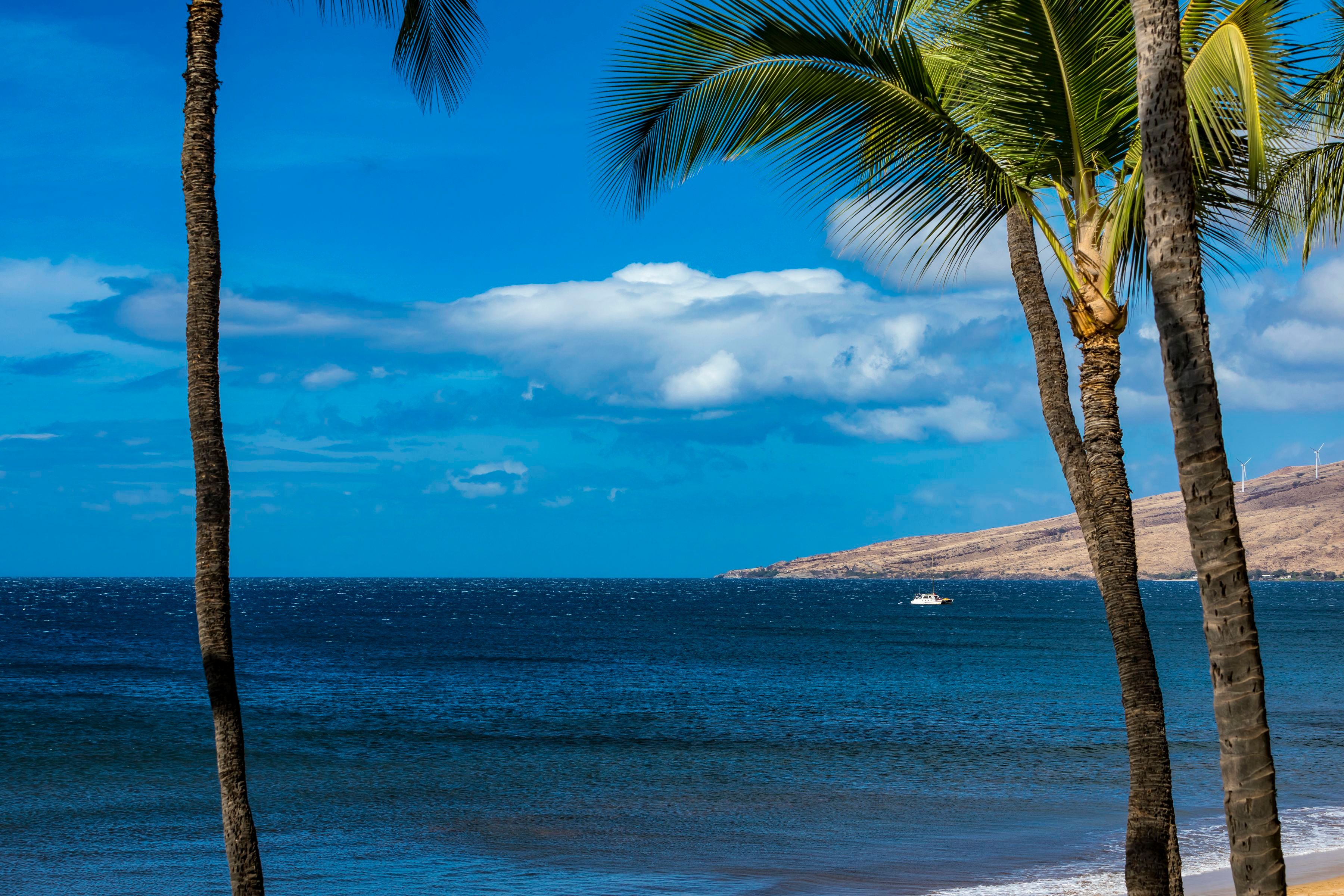 Sugar Beach 301 | Sugar Beach Resort