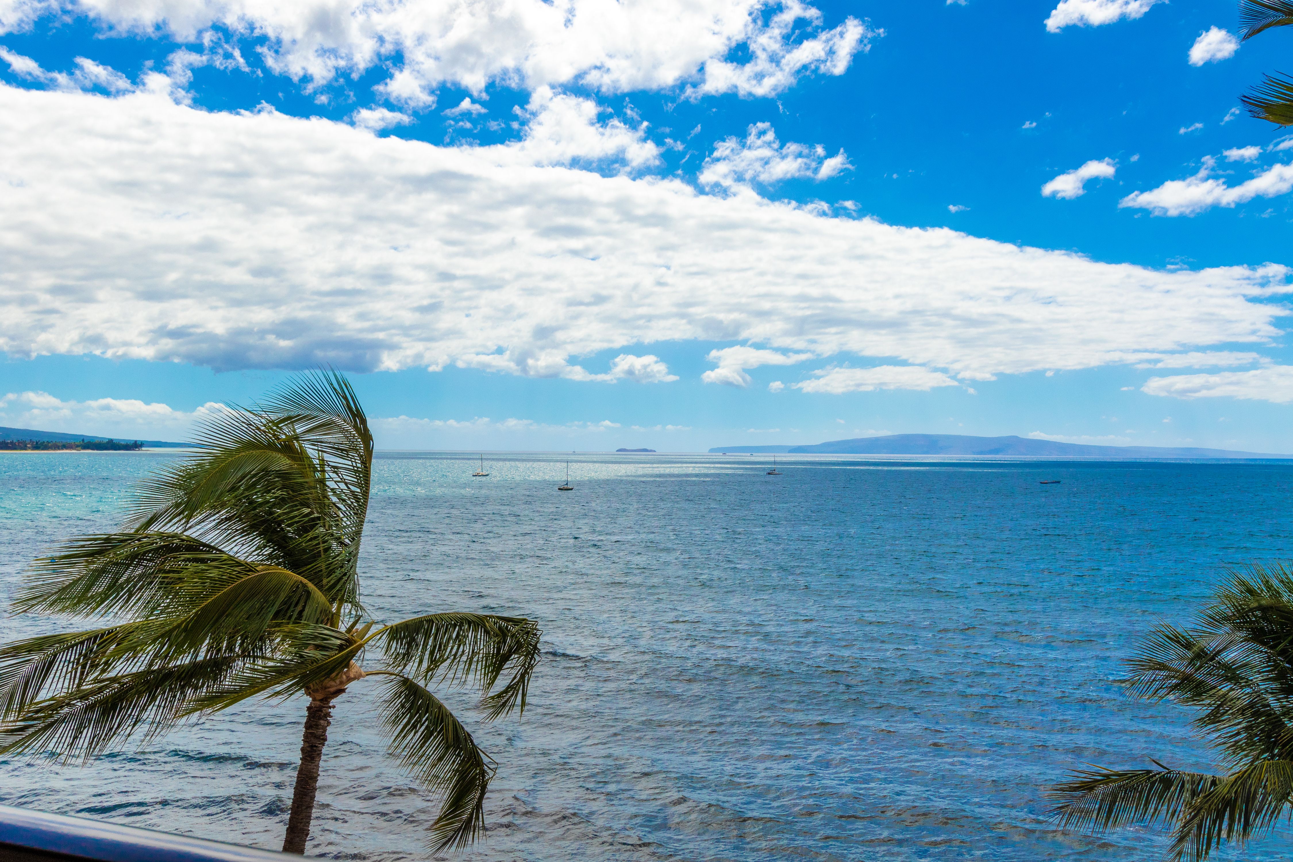 Sugar Beach 618 | Sugar Beach Resort