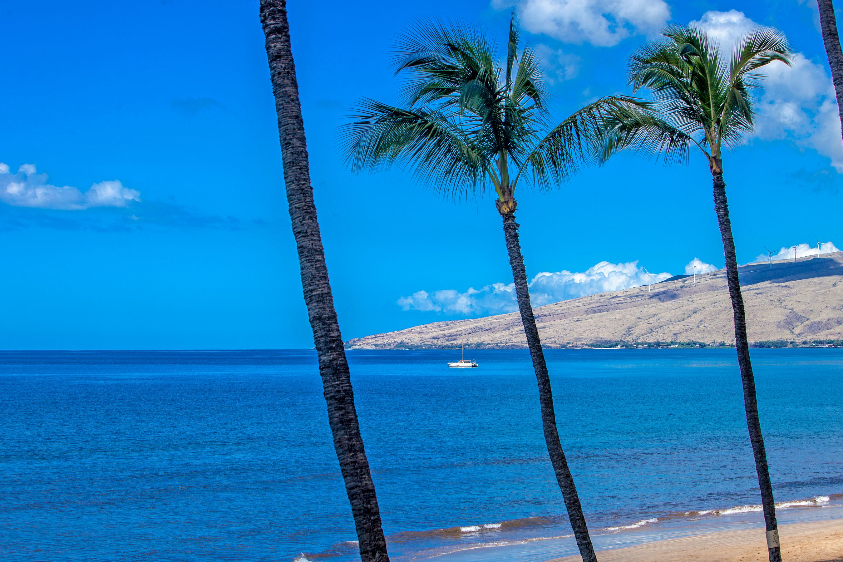 Sugar Beach 333 | Sugar Beach Resort