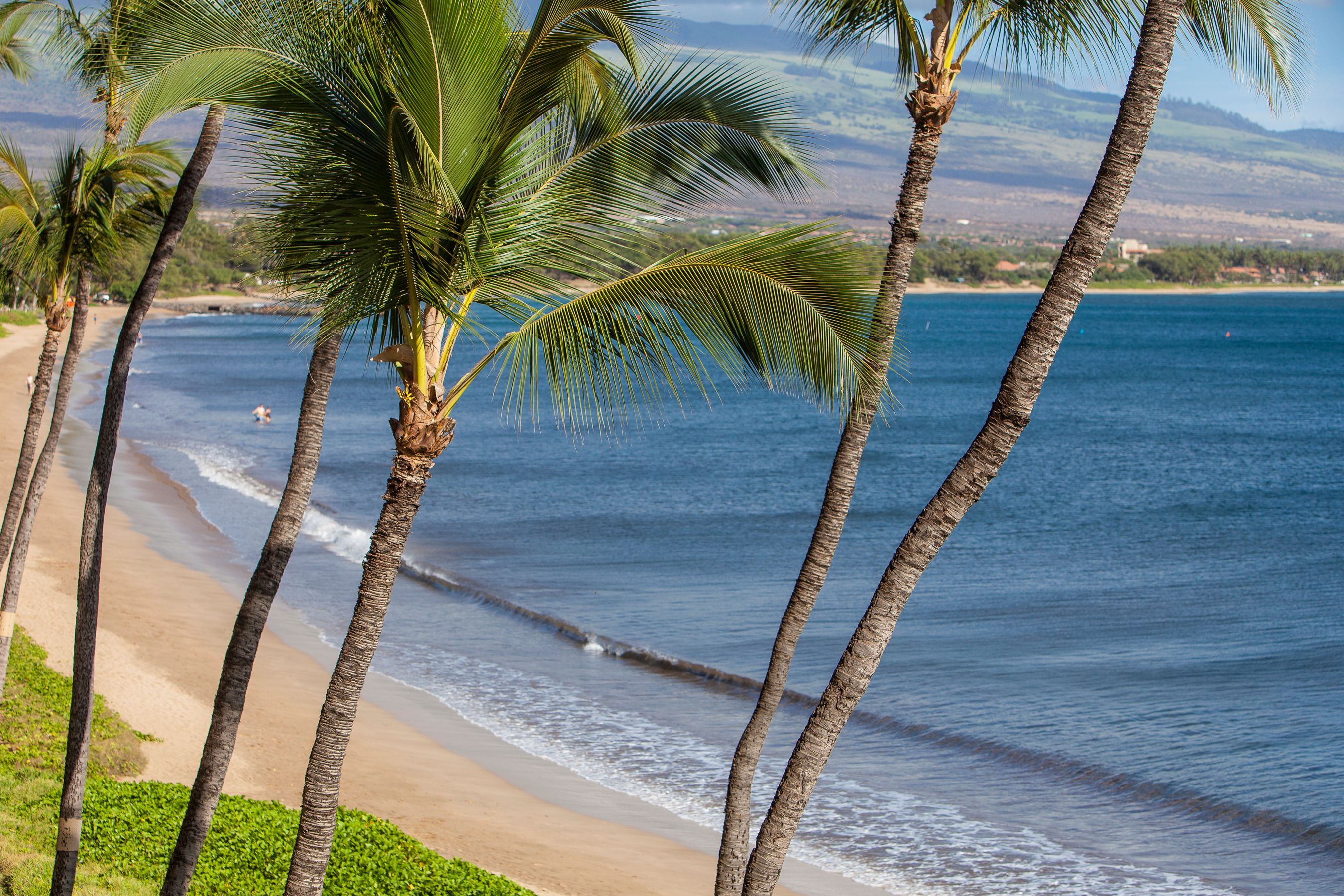 Sugar Beach 333 | Sugar Beach Resort