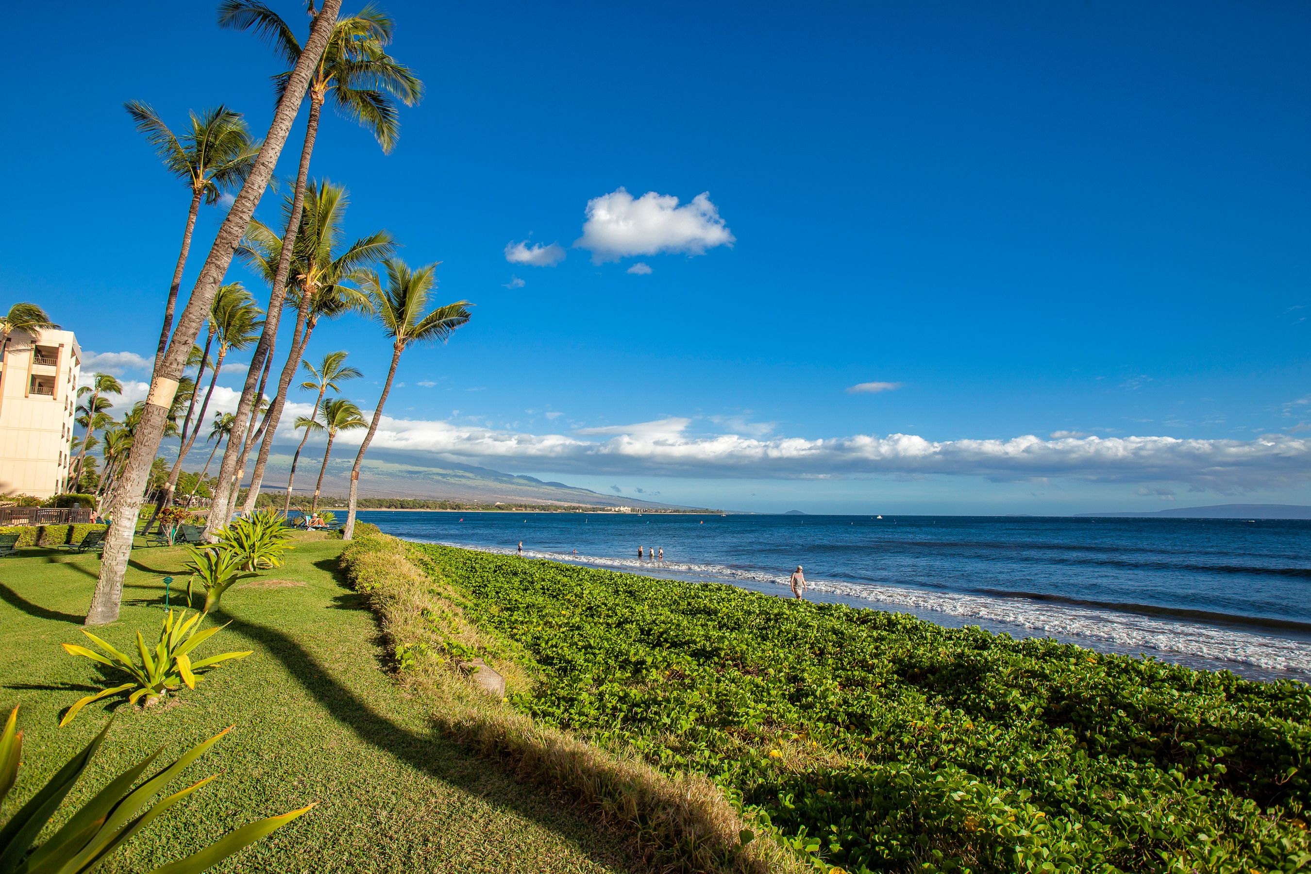 Sugar Beach 333 | Sugar Beach Resort