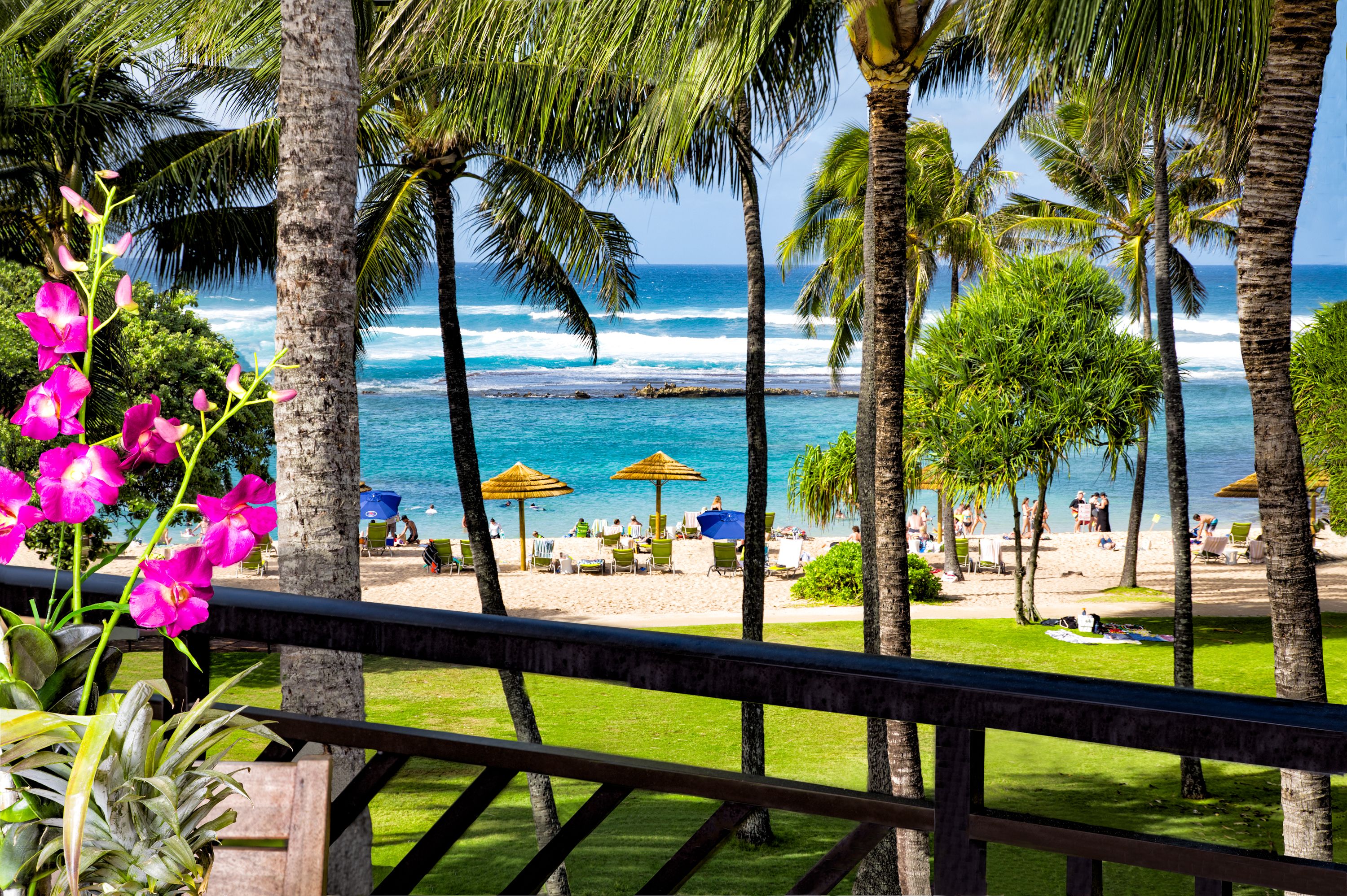 Villa 305 at Turtle Bay | Oceanfront Vacation Villas