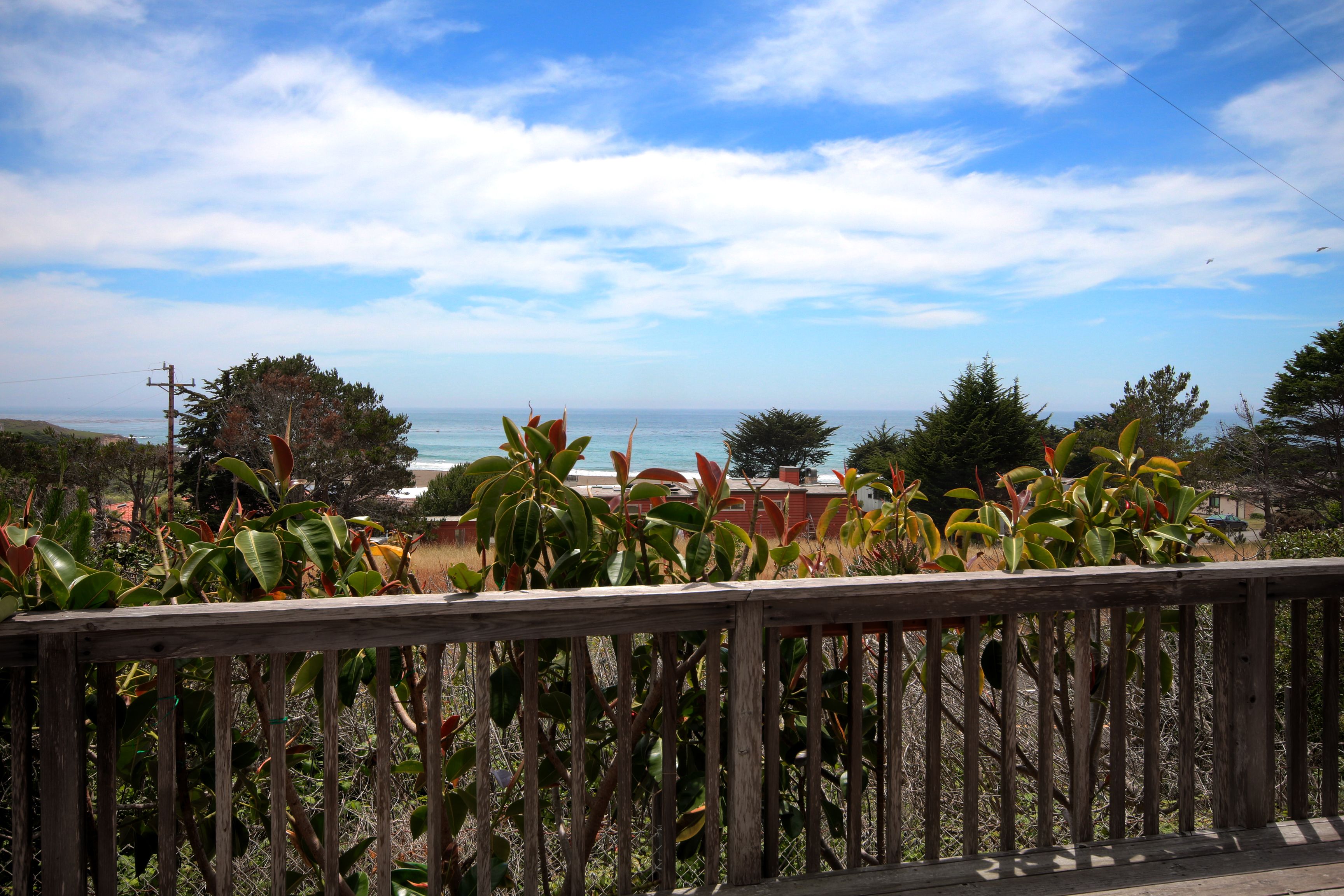 A Cool House, A Cool View | Scenic Coast Property Management