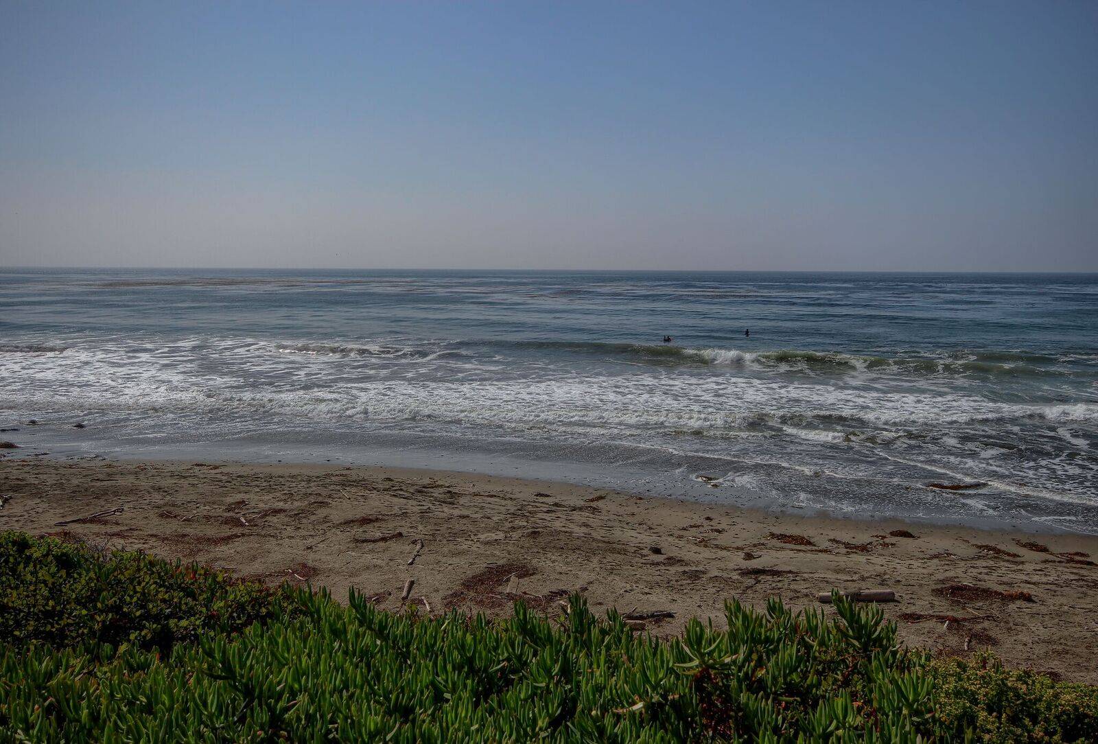 Beachfront | Scenic Coast Property Management