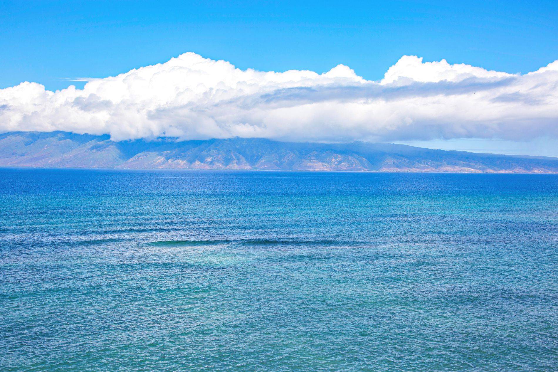 Valley Isle, Resort, Rental, kahana, Maui - Sullivan Properties Inc ...